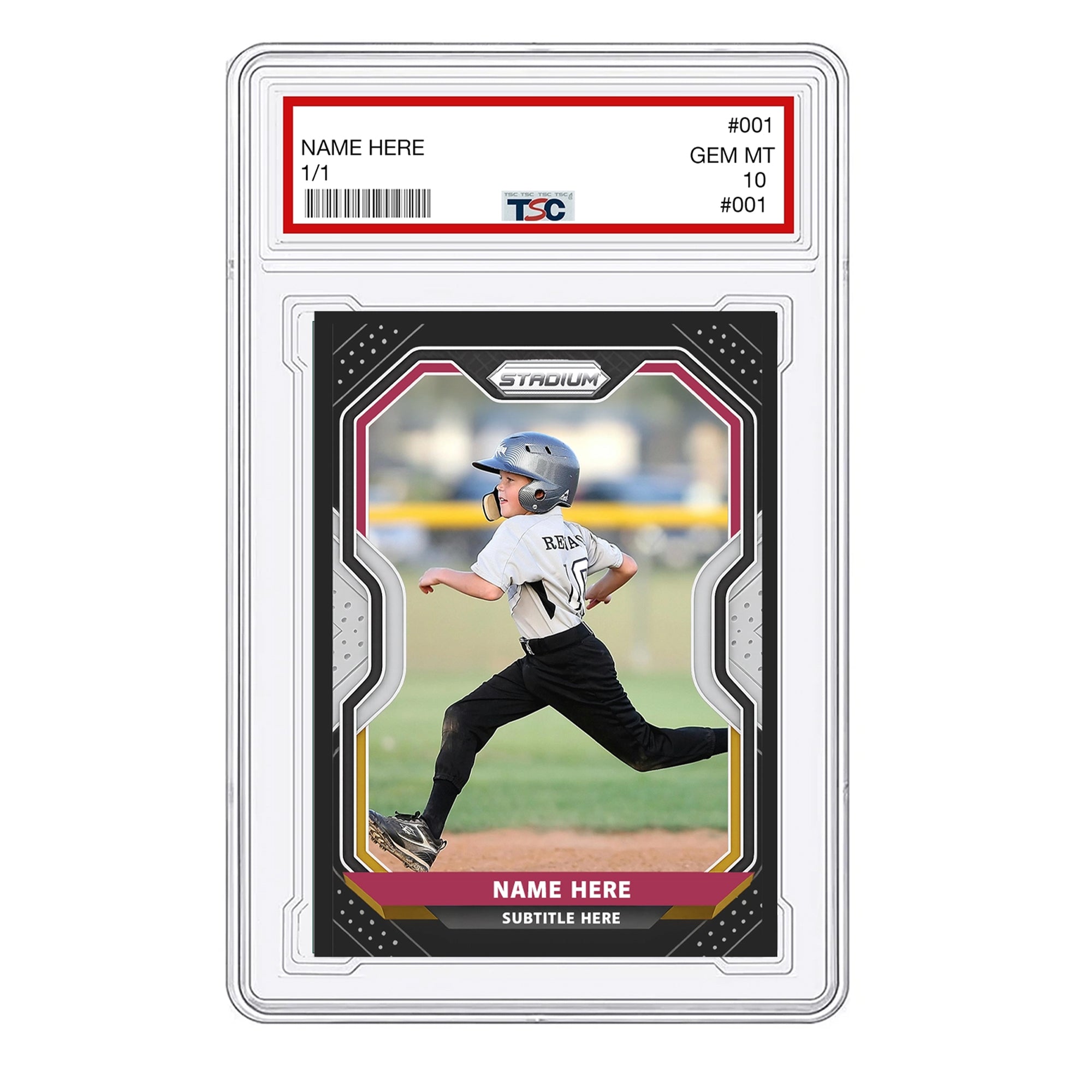 Panini Stadium – Stadium Supply